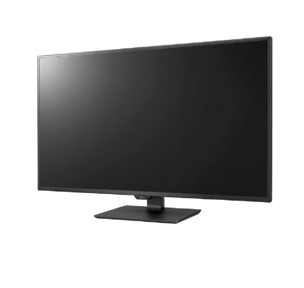 rent for LG 43in Class 4K UHD IPS LED Monitor